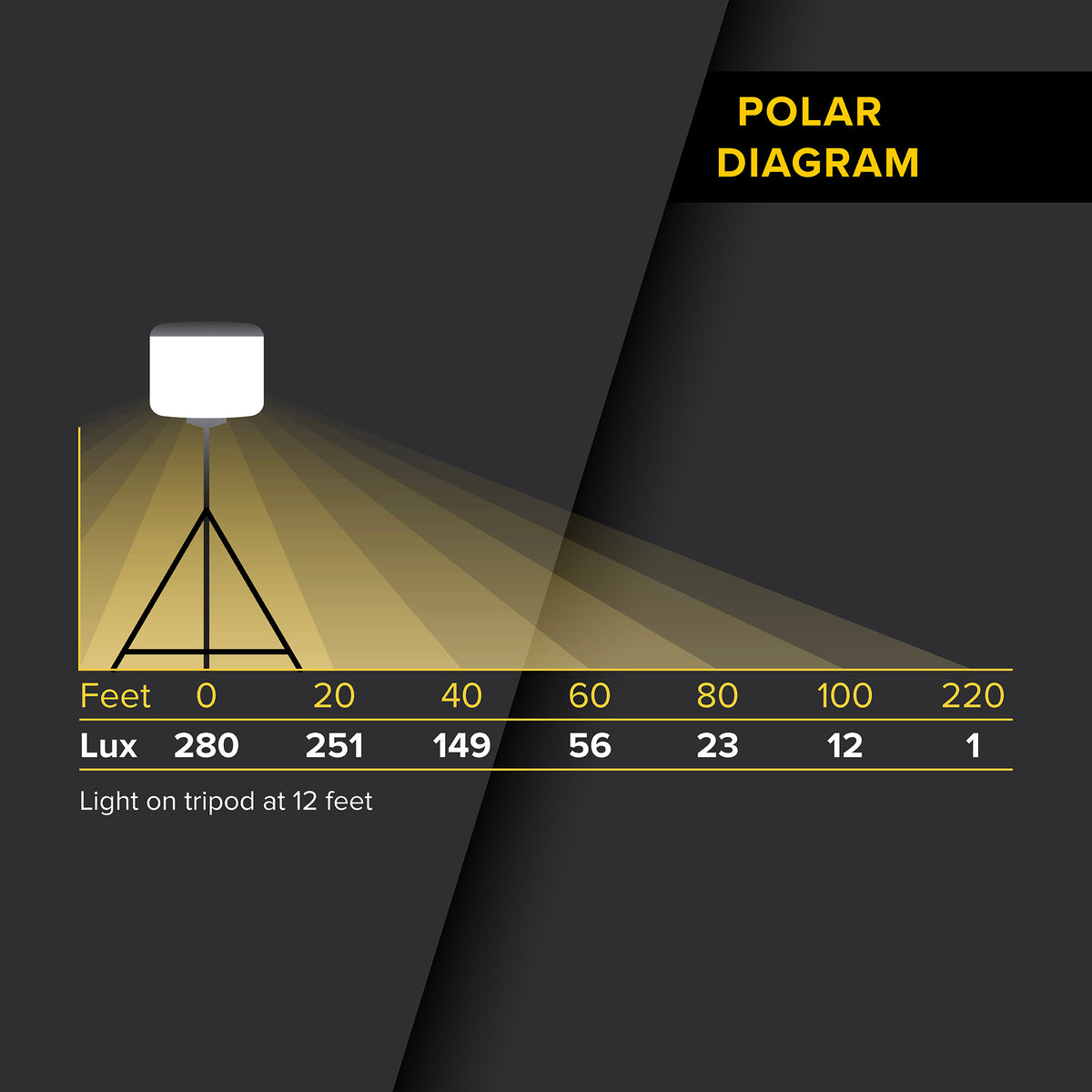 G3 800 Watt Balloon Light Fixture